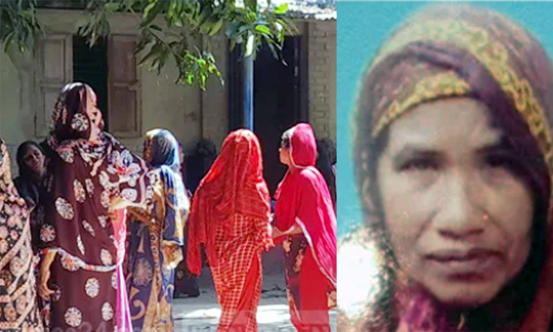 স্ত্রী-সন্তানের কাছে যেতে না দেওয়ায় শাশুড়িকে কুপিয়ে খুন - মাগুরা ...